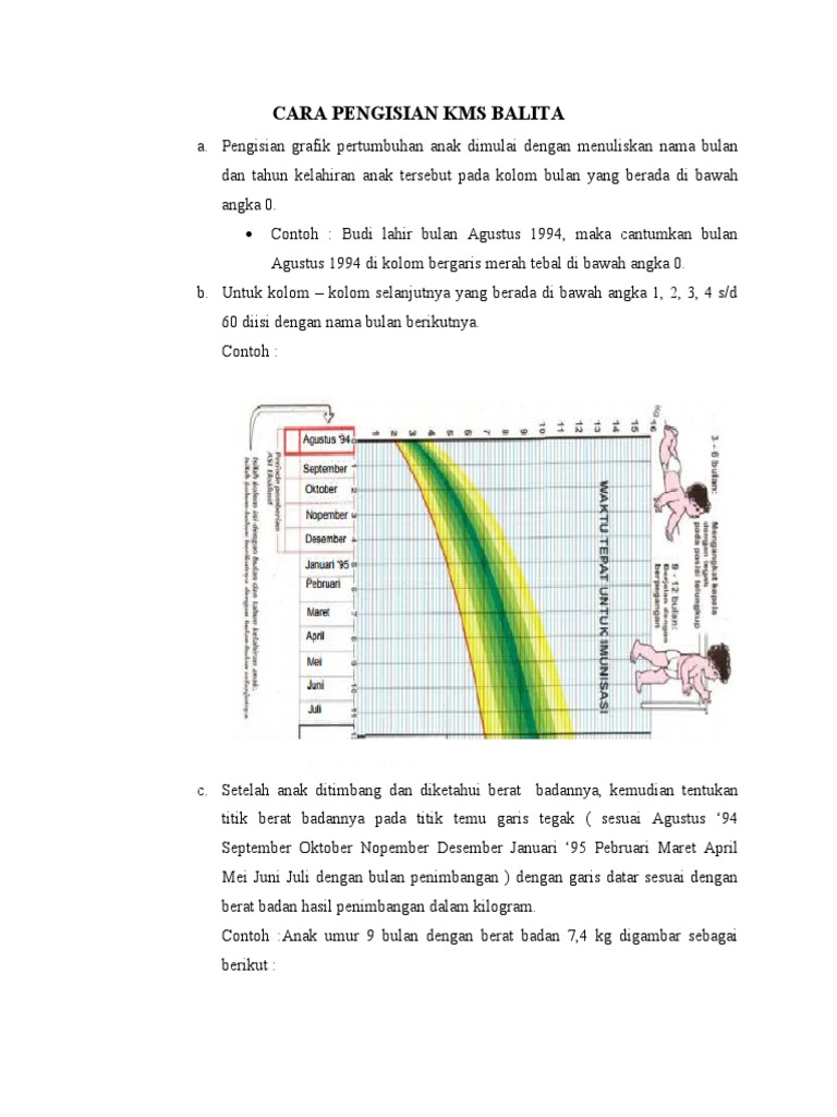 Cara Pengisian KMS Balita | PDF