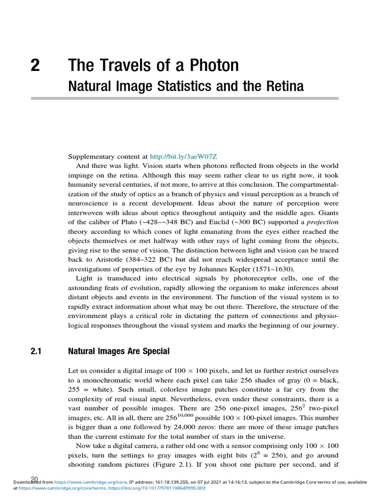 Biological and Computer Vision Chapter2 | PDF | Retina | Visual Perception