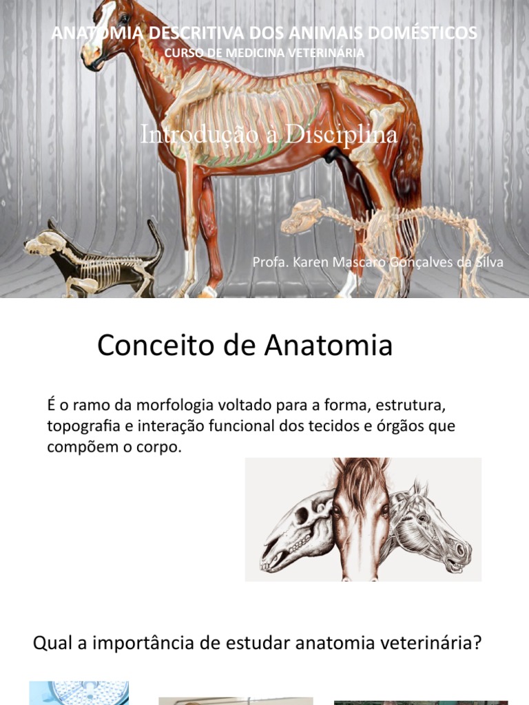 Aula 1 - Introdução À Anatomia Veterinária Descritiva | PDF