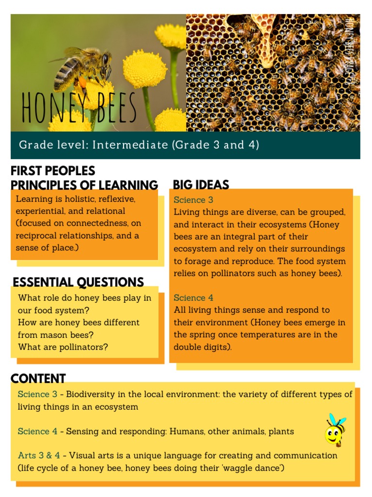 9 Honey Bees Lesson Plan | PDF | Honey Bee | Bees