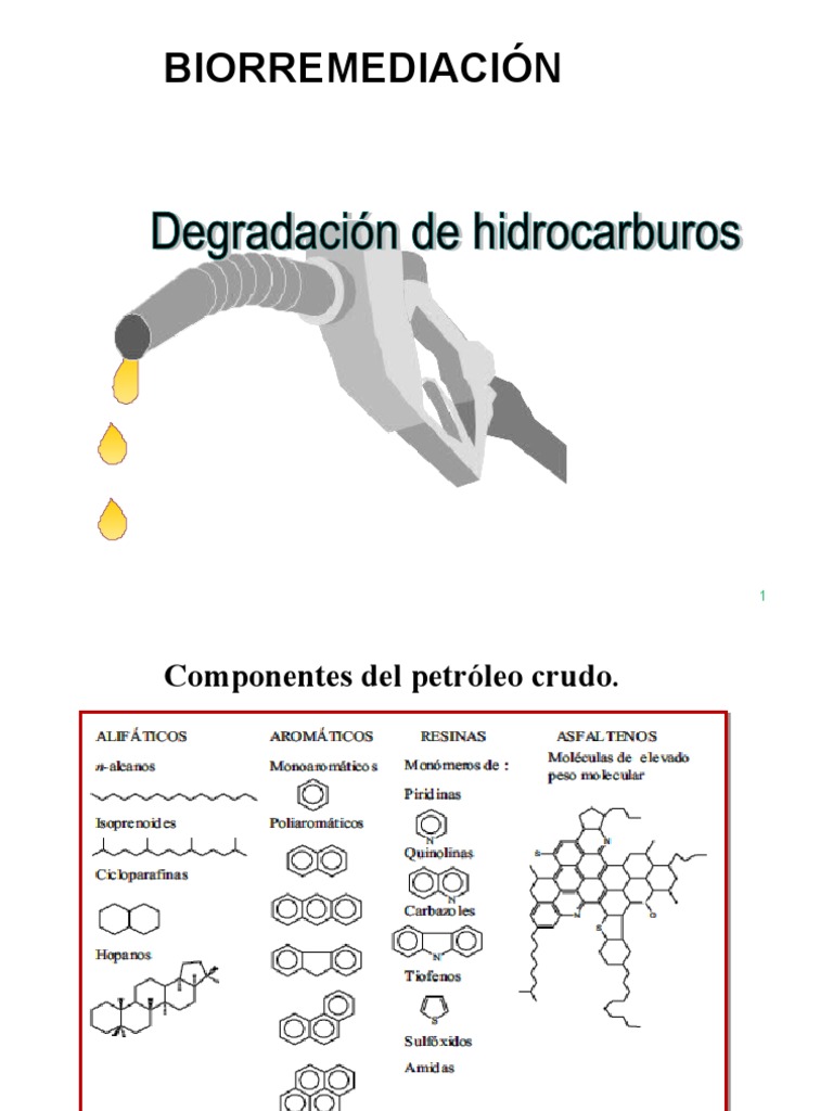 Degradacion de Hidrocarburos... | PDF | Pseudomonas | Biodegradación Degradacion de Hidrocarburos... | PDF | Pseudomonas | Biodegradación