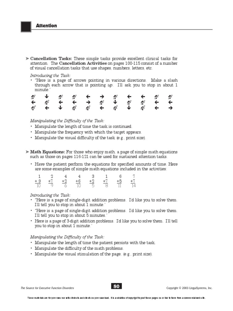 Sustained Attention Activities | PDF | Attention | Equations