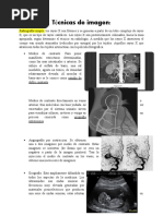 Presentación Edward Angle | PDF | Odontología | Ortodoncia