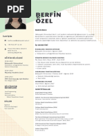 CV Ornek Yeni Mezun | PDF