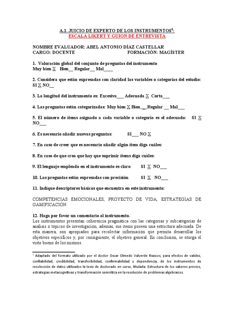 Formato Juicio Experto Cuanti-Cuali | PDF