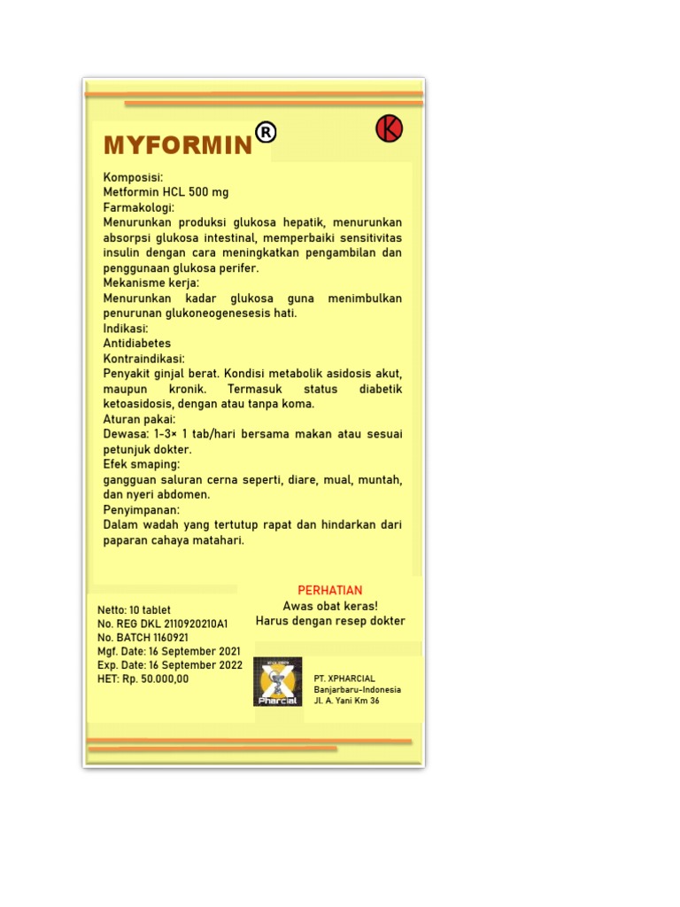 Brosur 1 Metformin | PDF