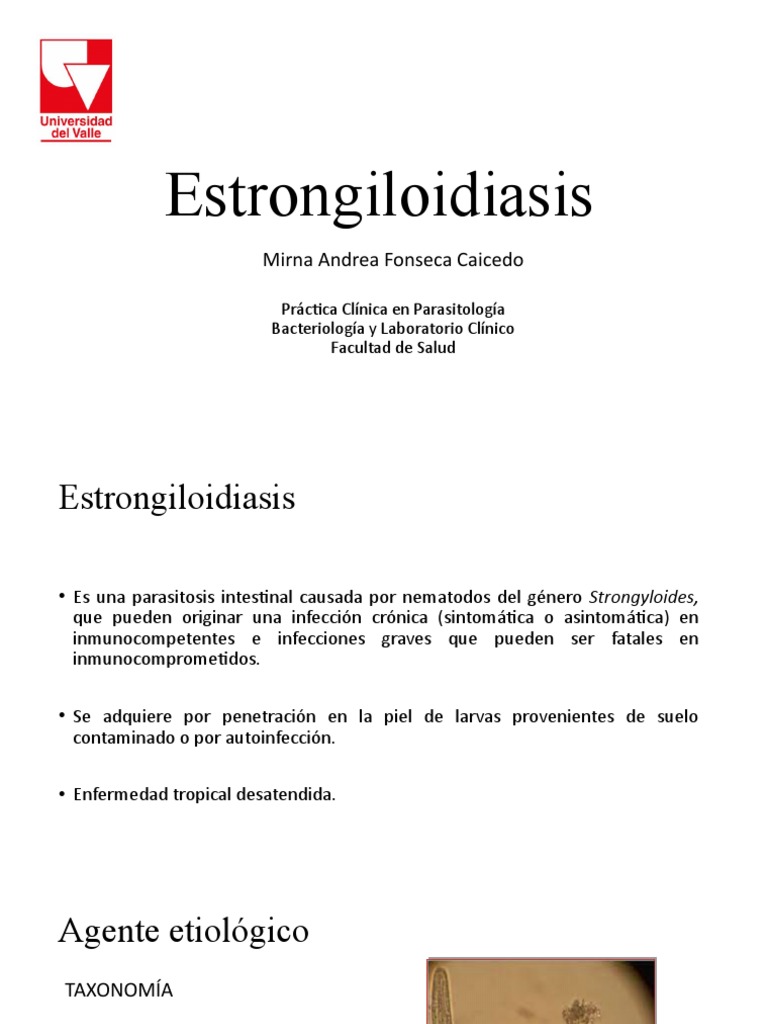 Estrongilodiasis | PDF | Tos | Medicina