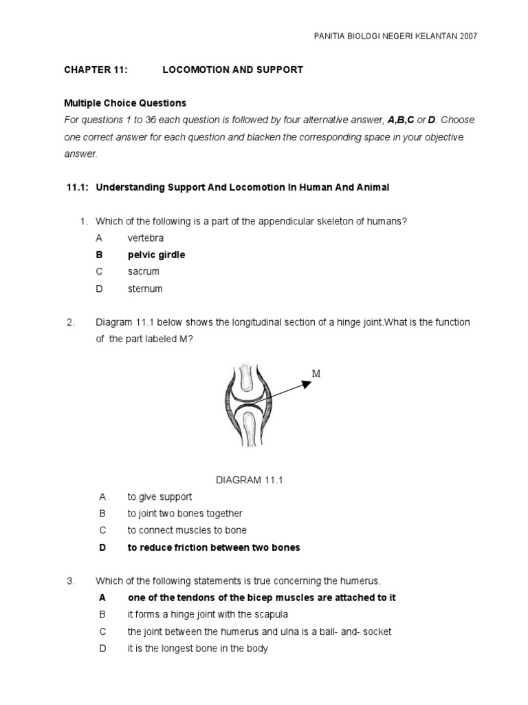 Jawapan Bio Form 5 Chapter 2 | PDF | Tissue (Biology) | Human ...