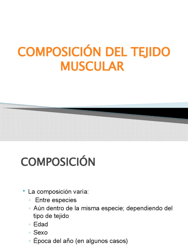 1 Composicion Del Tejido Muscular | PDF
