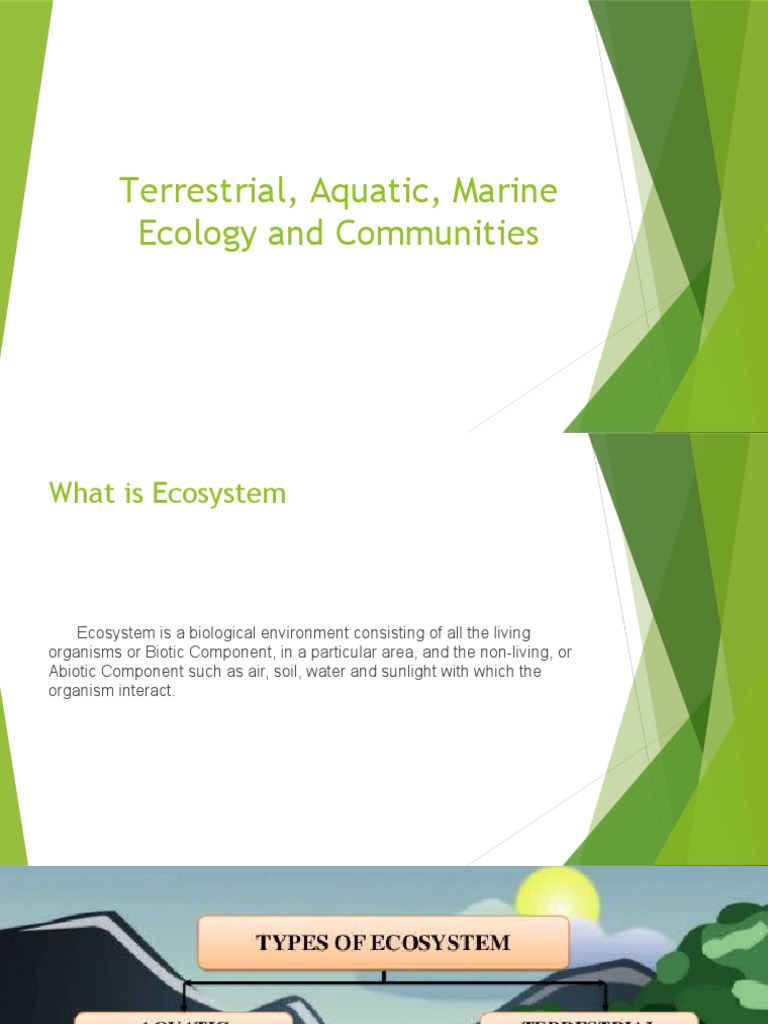 Terrestrial and Aquatic Ecosystems Overview | PDF | Grassland | Desert