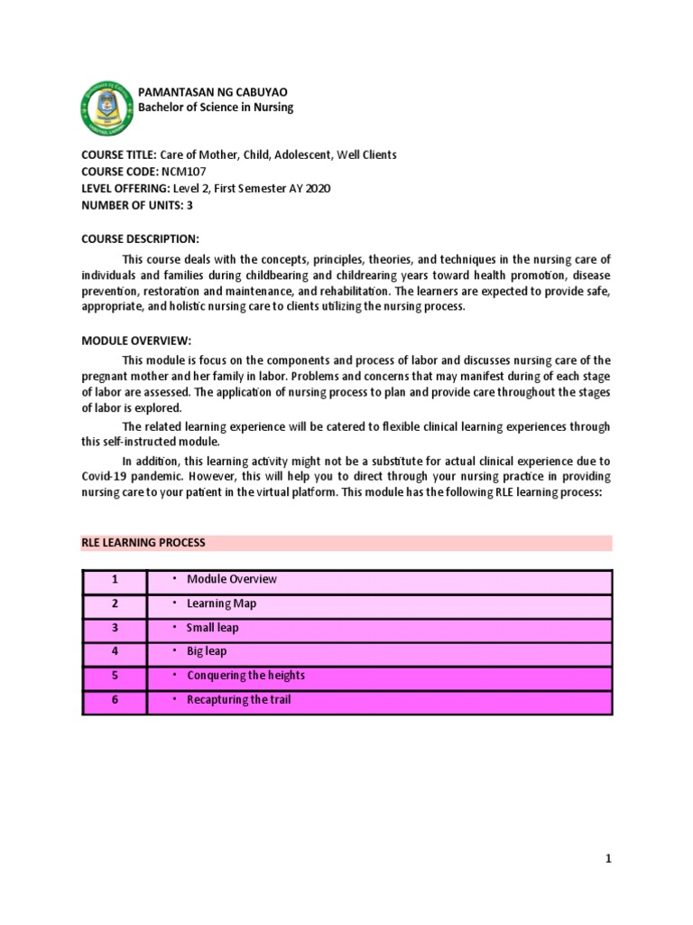 NCM 107 RLE Module 2 Nov 16 18 2020 | PDF | Childbirth | Nursing