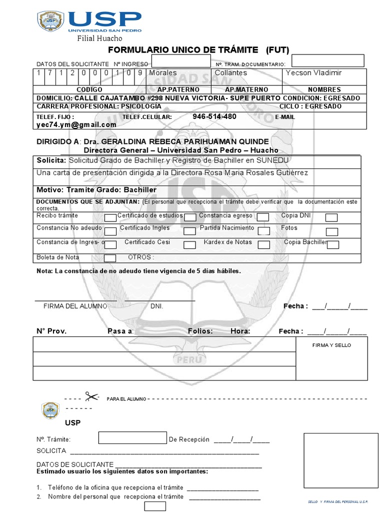 Modelo de Solicitud - Fut | PDF | Gobierno y personalidad