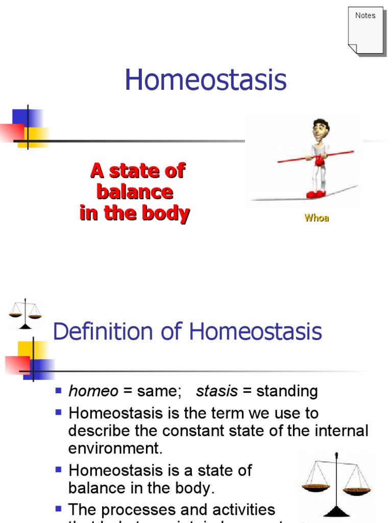 Homeostasis: A State of Balance in The Body | PDF | Homeostasis ...