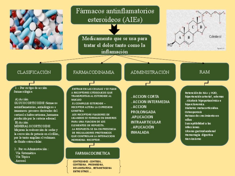 Los fármacos antinflamatorios esteroideos: clasificación, mecanismo de ...