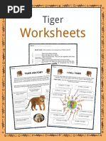 Tiger Life Cycle Explained for Kids | PDF