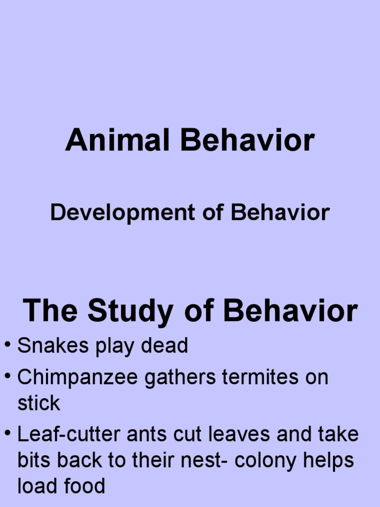 Development of Animal Behaviour | PDF | Ethology | Instinct
