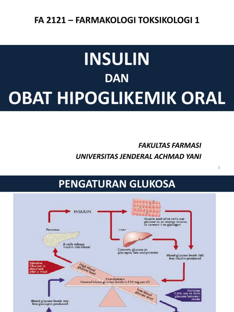 Terapi Insulin dan Obat Hipoglikemik DM | PDF