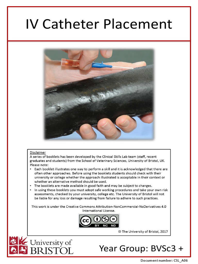 IV Catheter Placement | PDF | Catheter | Intravenous Therapy