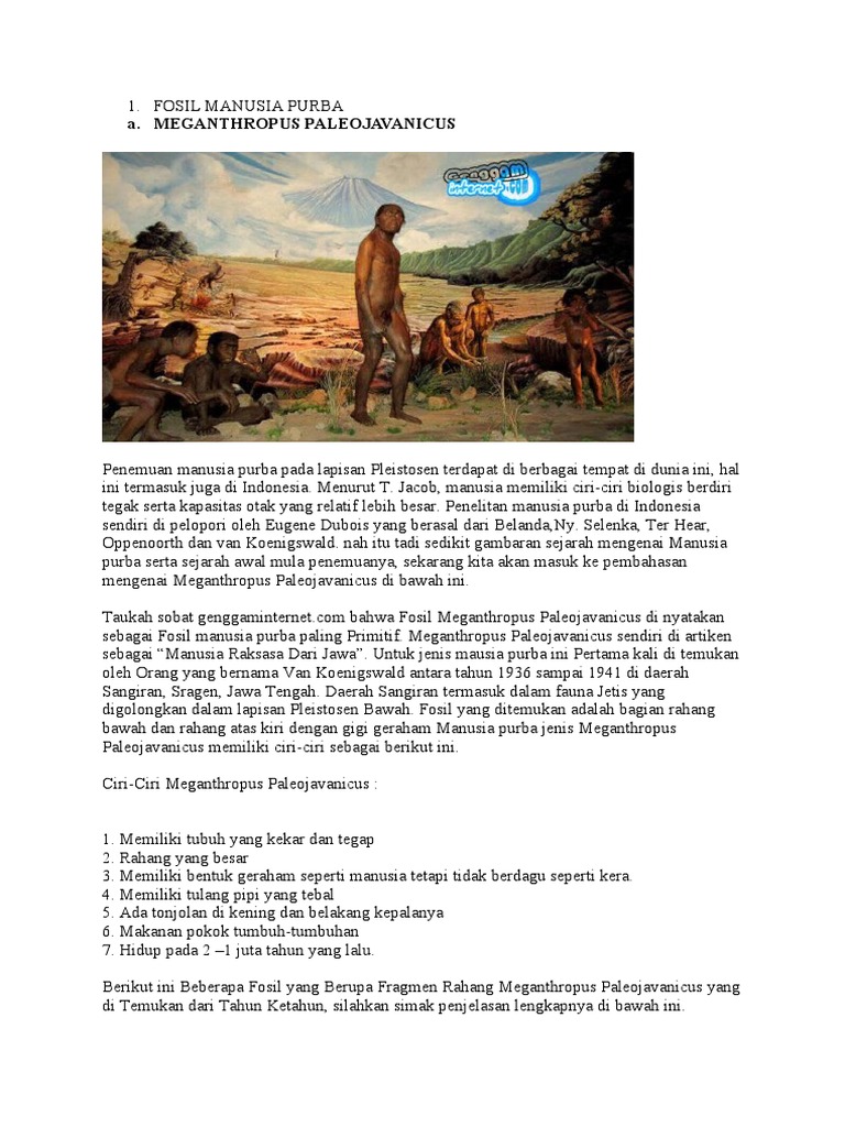Meganthropus Paleojavanicus | PDF