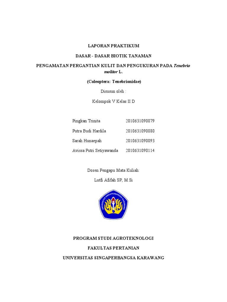 2D Kelompok 5 Laprak Tenebrio | PDF | Sains & Matematika