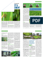 Covo Rugare Gold PLUS | PDF | Fertilizer | Seed