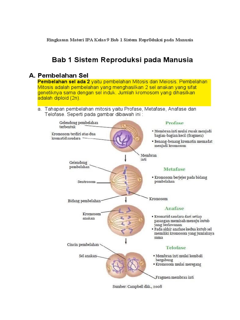 Ringkasan Materi IPA Kelas 9 Bab 1 Sistem Repr0duksi Pada Manusia | PDF