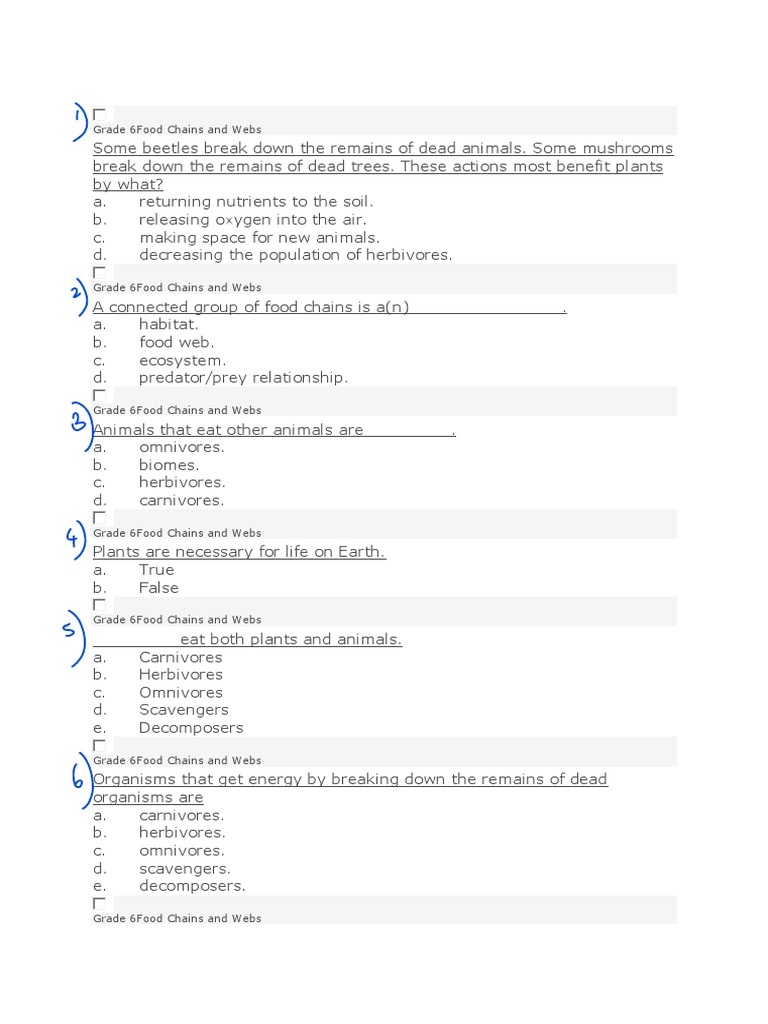 Grade 6 Food Chains and Webs Worksheet | PDF | Food Web | Decomposition