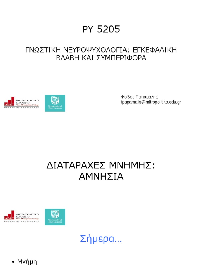 ΔΙΑΤΑΡΑΧΕΣ ΜΝΗΜΗΣ | PDF