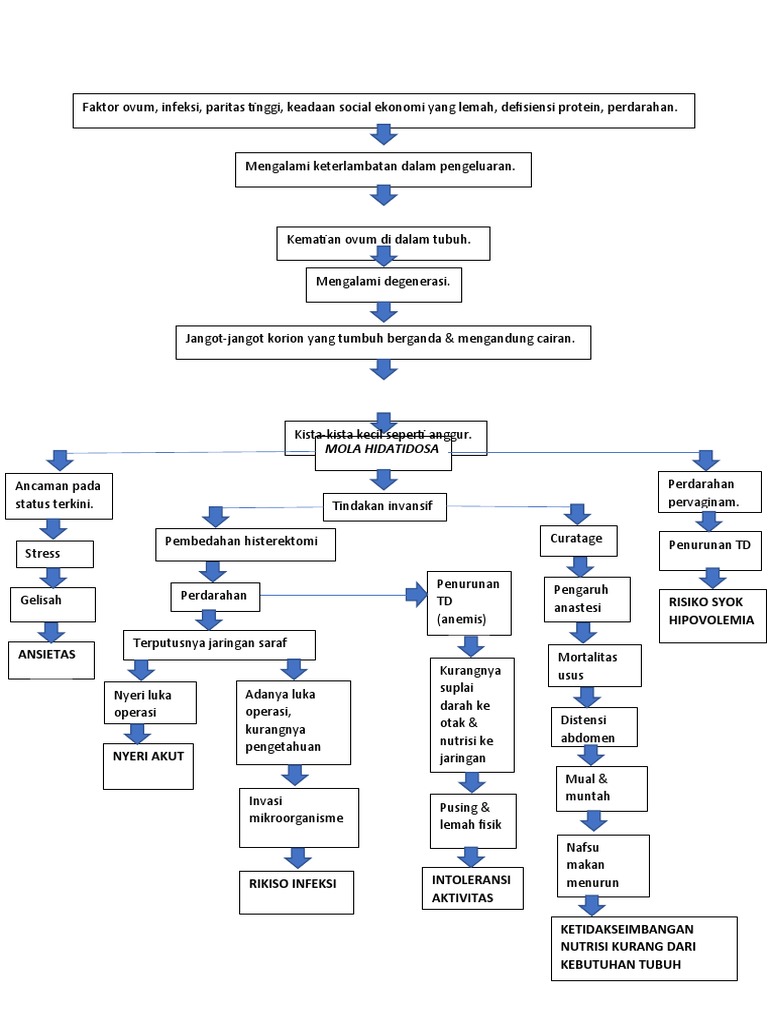 Pathway Mola Hidatidosa | PDF