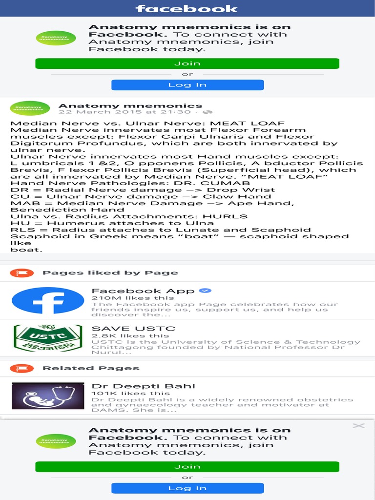 Median Nerve vs. Ulnar Nerve MEAT LOAF... - Anatomy Mnemonics Facebook ...