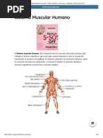 Nalgografia | PDF | Nalgas | Anatomía humana