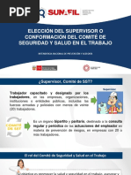 Conformación y Funciones del Comité SST | PDF | Valores | Votación