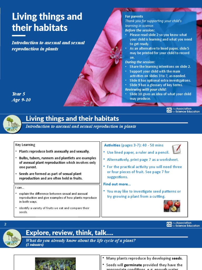 Year 5 Lesson 1 Asexual and Sexual Plant Reproduction | PDF ...