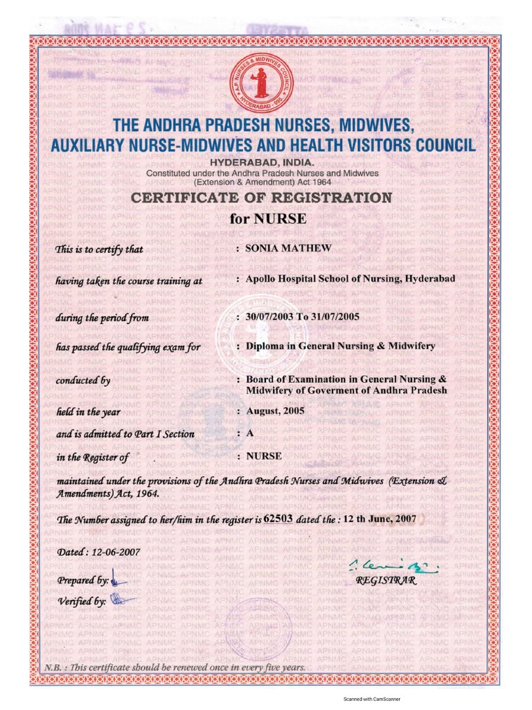 Professional Registrations | PDF