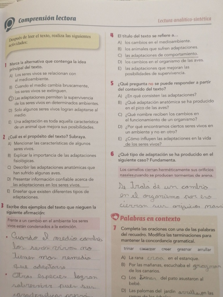 Comprensión Lectora: Palabras en Contexto | PDF | Adaptación