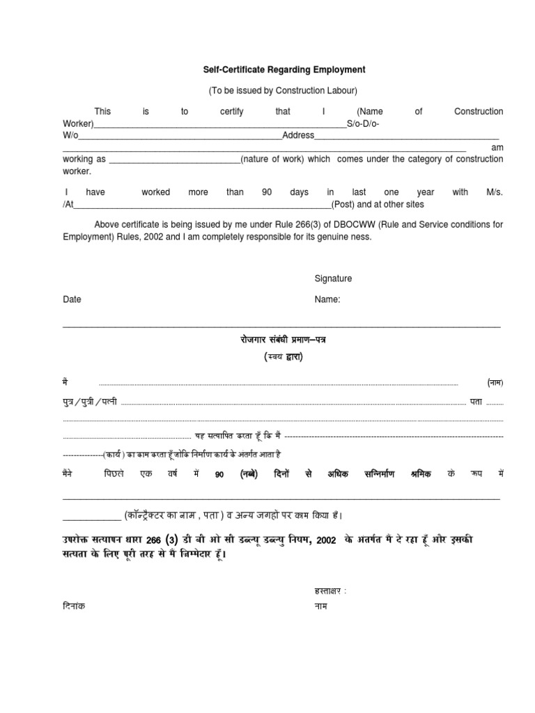 SelfDeclaration Employment | PDF