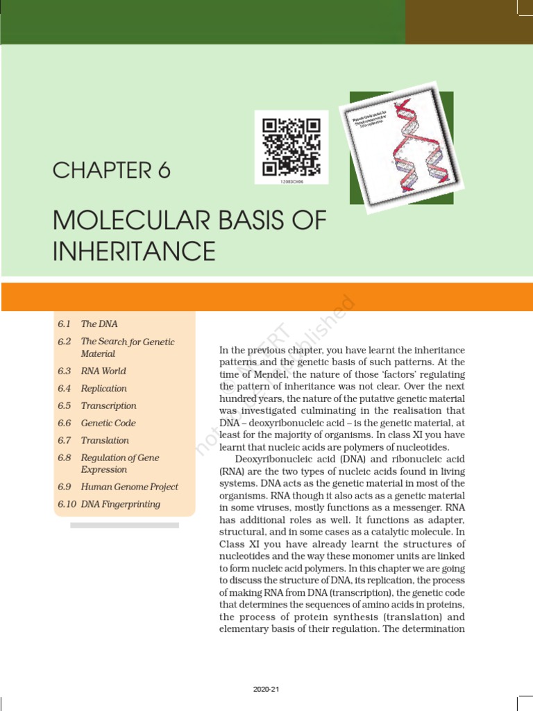 Molecular Basis of Inheritance | PDF | Dna | Gene
