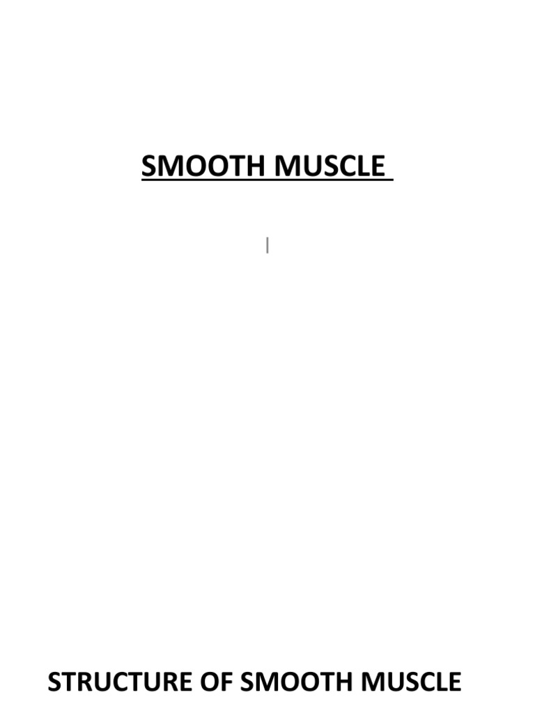 Smooth Muscle | PDF | Muscle Contraction | Skeletal Muscle