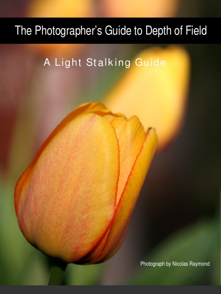 The Photographer's Guide To Depth of Field | PDF