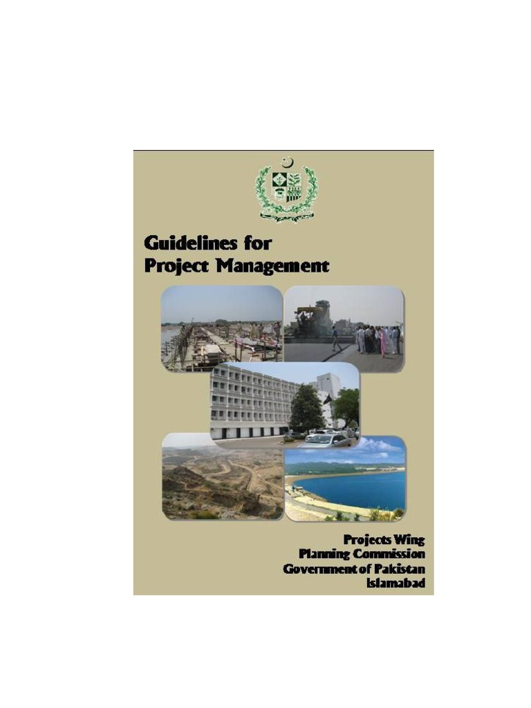 Guidelines For Project Management | PDF | Feasibility Study | Project ...