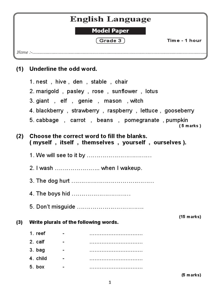 Grade 3 English Language Practice Paper | PDF