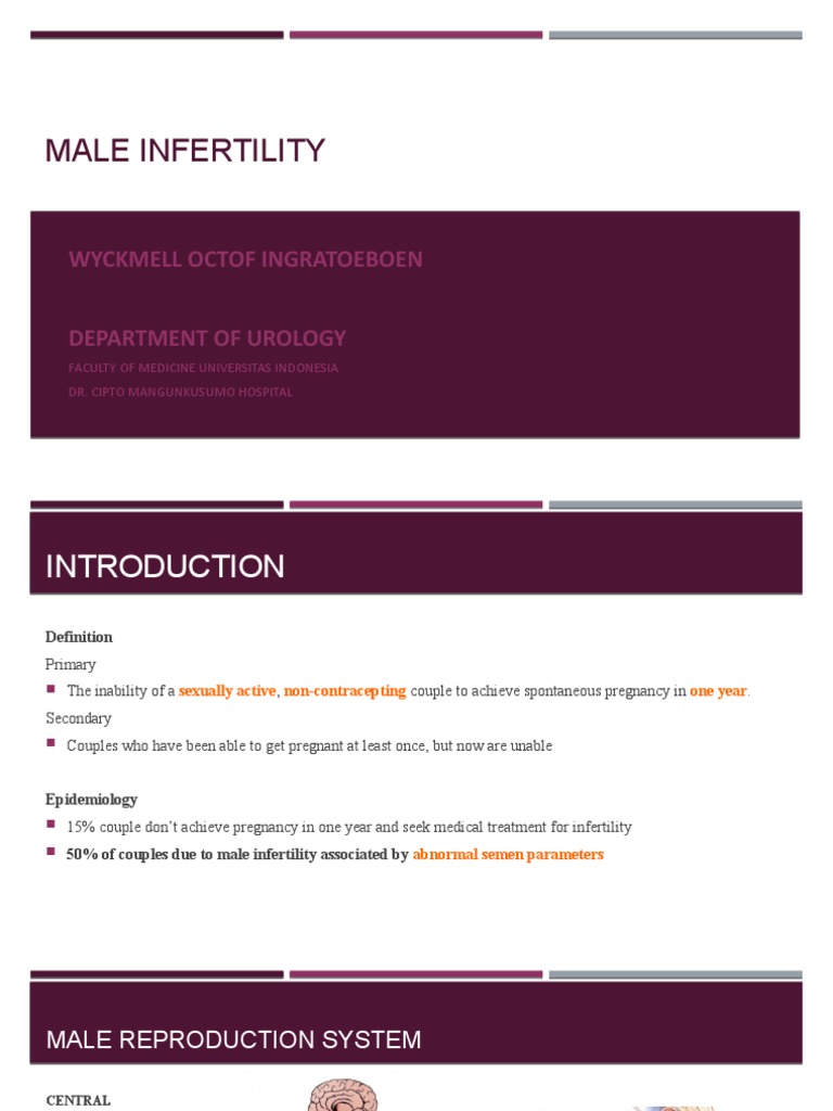 Infertilitas Pada Pria | PDF | Infertility | Medical Specialties