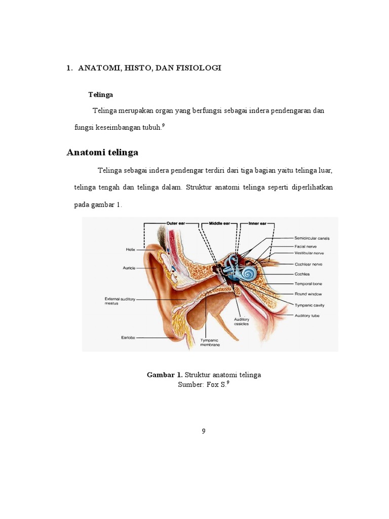 Struktur dan Fungsi Telinga Manusia | PDF | Sains & Matematika