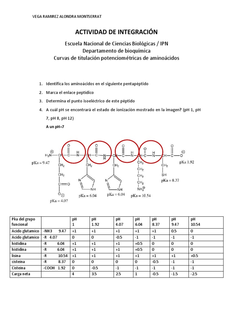 Calculo de Punto Isoelectrico | PDF
