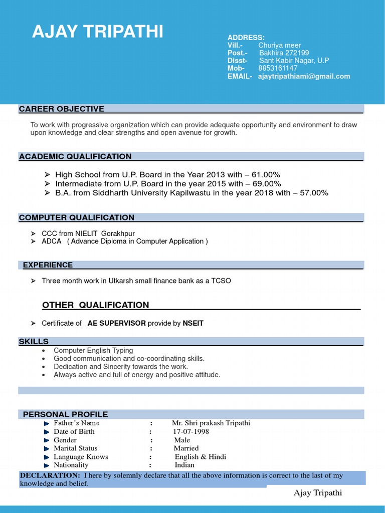 Ajay Tripathi Resume and Career Profile | PDF