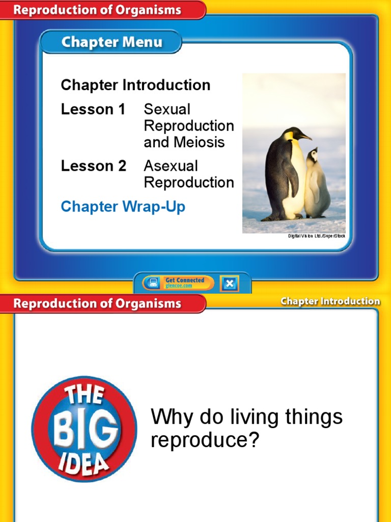 Chapter Introduction Lesson 1: Sexual Reproduction and Meiosis Asexual ...