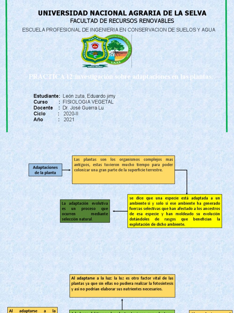 Adaptaciones Vegetales: Suelo, Luz y Clima | PDF | Plantas | Adaptación
