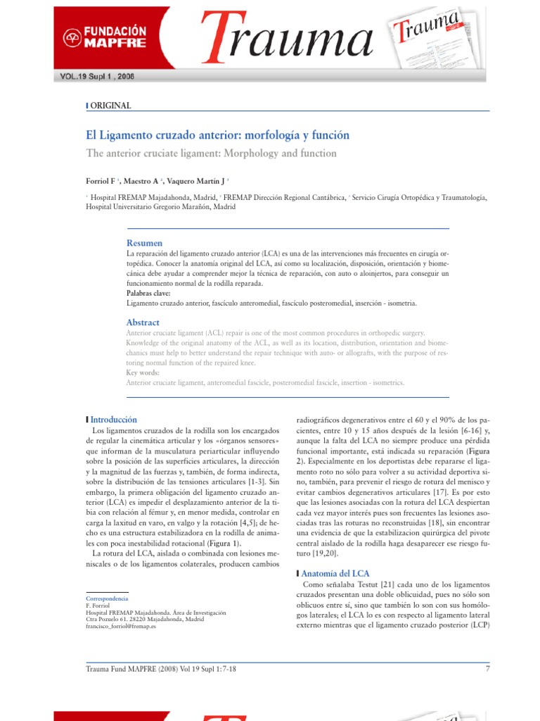 Anatomia LCA | PDF | Rodilla | Articulaciones