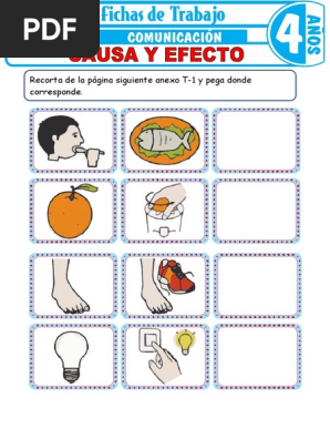 Hojas De Trabajo De Causa Y Efecto Para Adultos