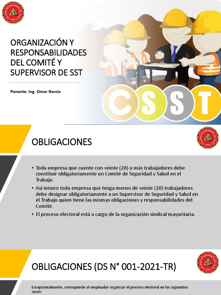 Organización y Responsabilidades Del Comité y Supervisor de SST | PDF | Seguridad y salud ...